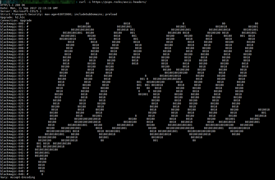 ASCII art in hidden places | 801 Labs